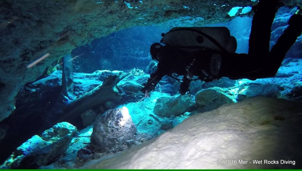 GUE Cave 1 Training- Day 7, The Last Day – CaveShark.com