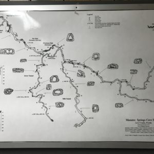 A Real Cave Dive-Manatee Springs Via Friedman Sink – CaveShark.com