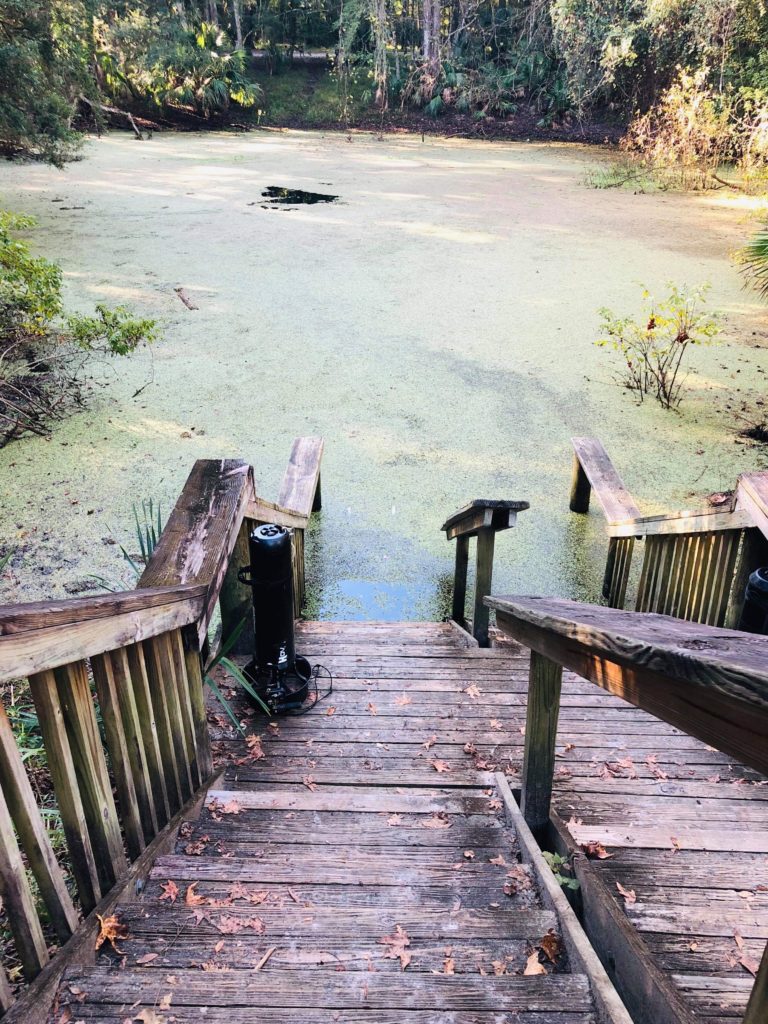 NSS-CDS Cave DPV Class: Part 3-Scootering Manatee Springs – CaveShark.com